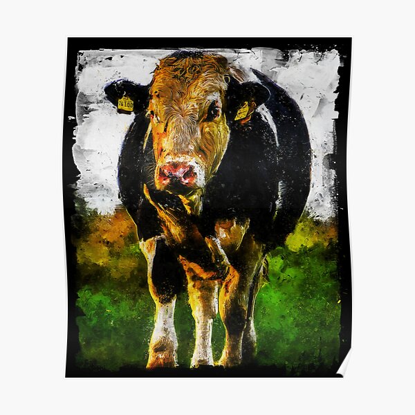 Póster «Lindo retrato de pastoreo de ganado Holstein Friesian, pintura ...