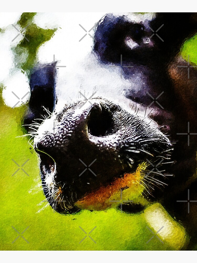 "Cute Holstein Friesian Cattle nose portrait, Oil Painting Holstein ...