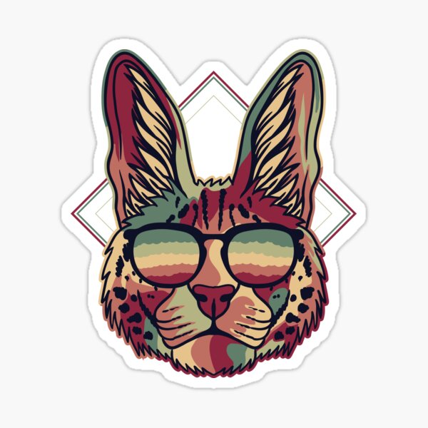 "Cool Cat with shades" Sticker for Sale by FloridaKeys1984 | Redbubble