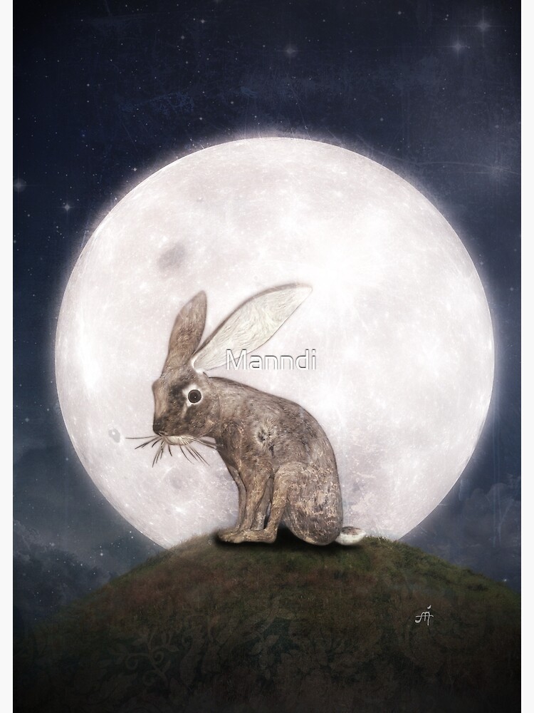 "Night Rabbit" Art Print by Manndi | Redbubble
