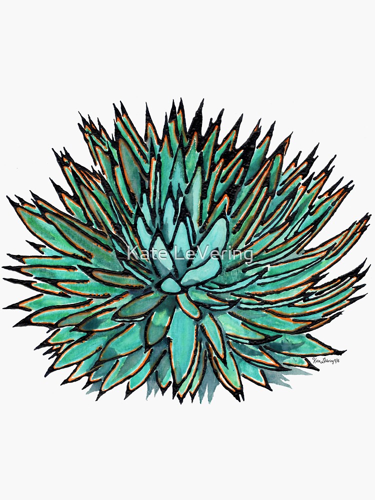 "Spiky Green Agave" Sticker by LEVERING | Redbubble