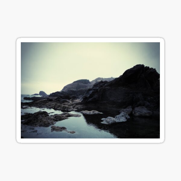 "Oregon Coast" Sticker for Sale by bdzart | Redbubble