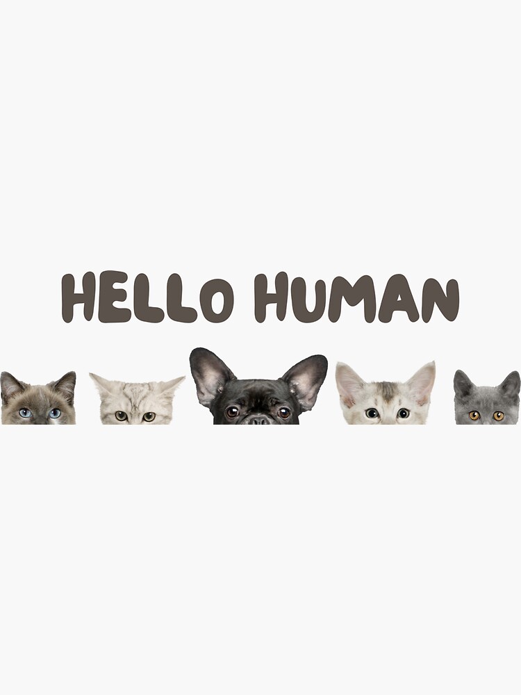 "Hello Human from the lovely pets" Sticker for Sale by PraerieJ | Redbubble