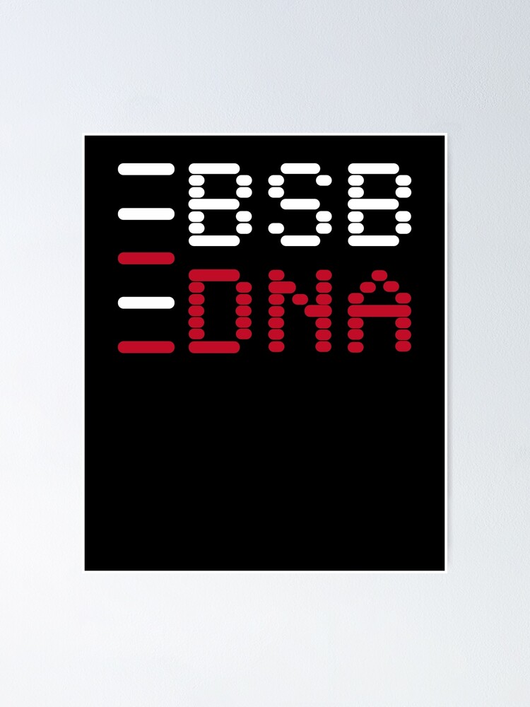 "BSB DNA" Poster for Sale by rihnginkelm | Redbubble