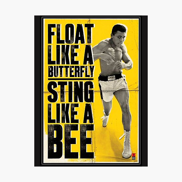 Lámina fotográfica «Muhammad Ali Flota como una mariposa Pica como una abeja Los niños Muhammad ...