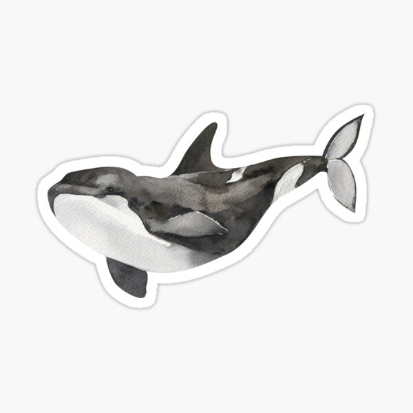 "Orca Whale | Cloudy Blue | Watercolour Sea Creature" Sticker for Sale ...