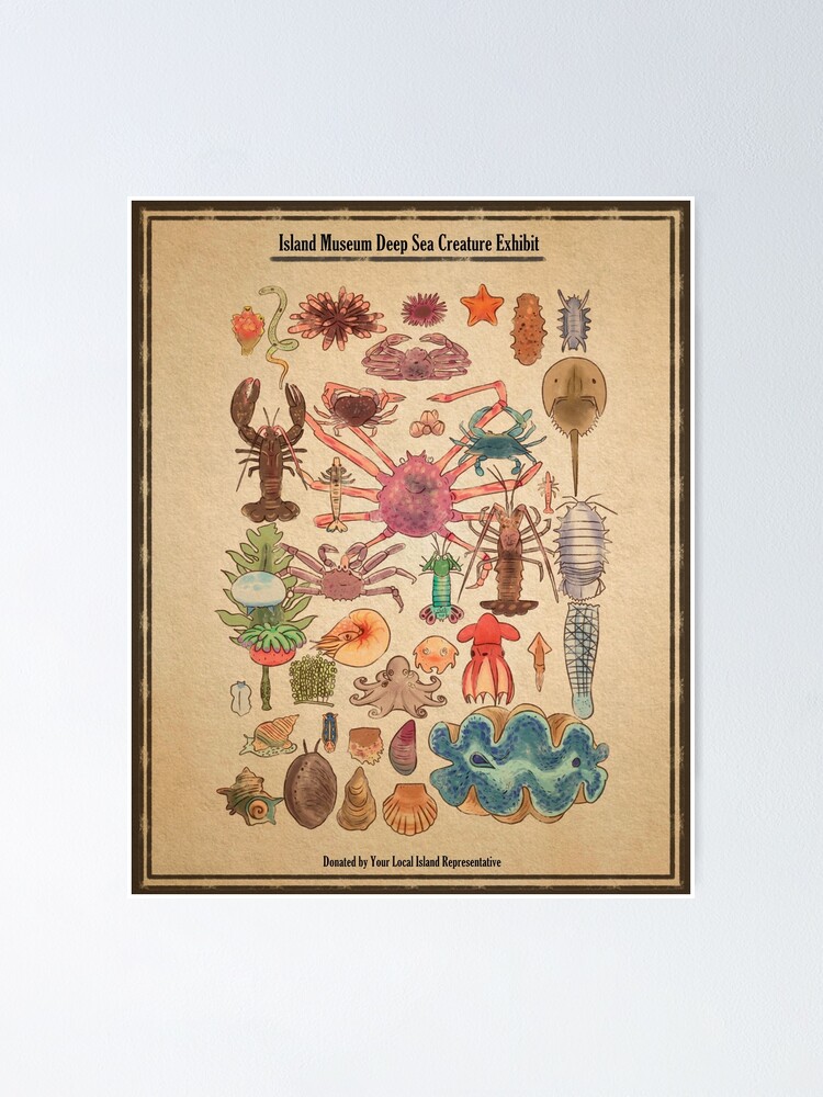 "Island Museum Deep Sea Creature Exhibit" Poster for Sale by ...