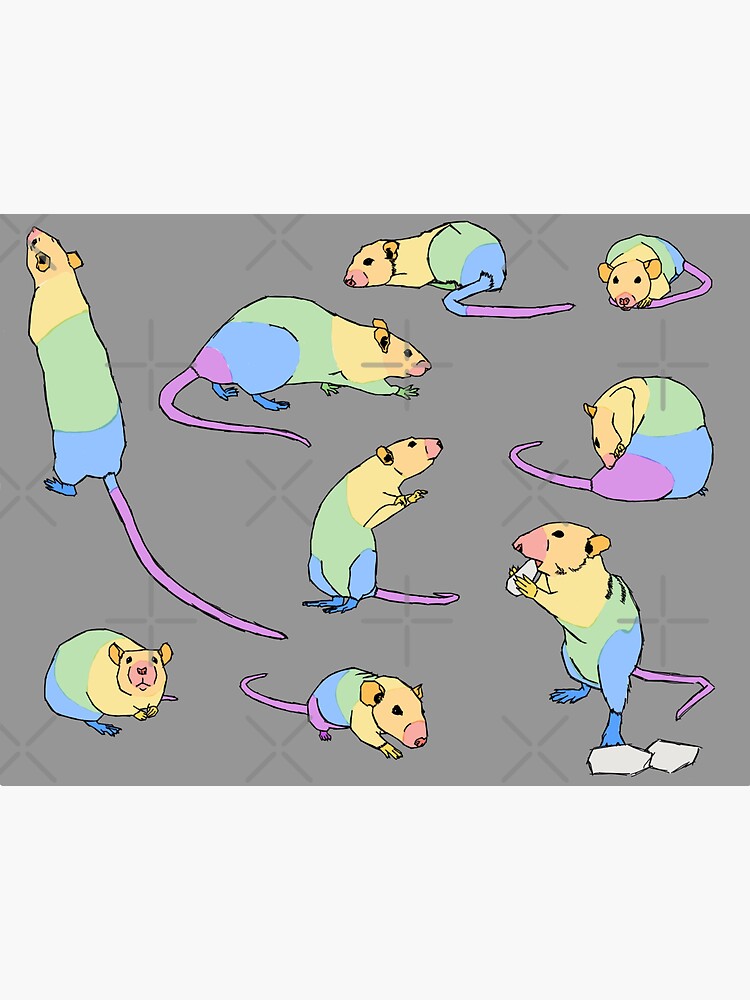 "rainbow rats grey" Sticker for Sale by Lugubris | Redbubble