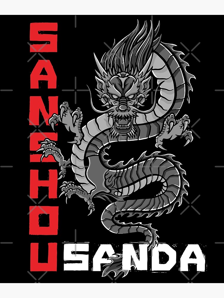 "Chinese Martial Arts Chinese Boxing Sanshou Chinese Dragon" Poster for ...