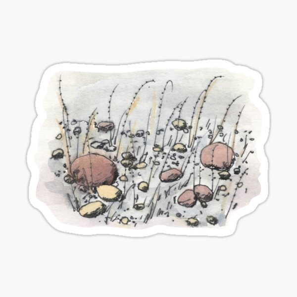 "River Rock" Sticker for Sale by Deltra5 | Redbubble