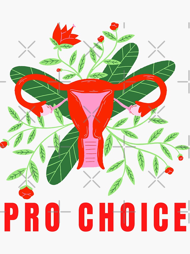 "Pro choice - Reproductive rights are human rights" Sticker for Sale by ...