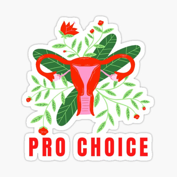 "Pro choice - Reproductive rights are human rights" Sticker for Sale by ...