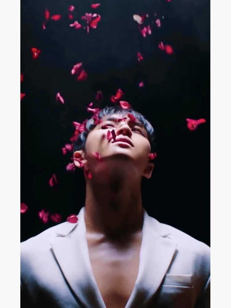 "Seventeen Mingyu" Poster for Sale by miukki960 | Redbubble