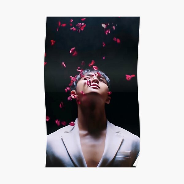 "Seventeen Mingyu" Poster for Sale by miukki960 | Redbubble