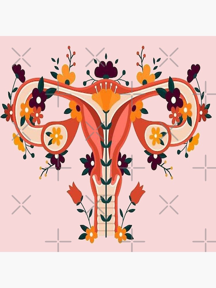 Póster «Útero Con Flores ||Sistema Reproductor Femenino||» de Artw0rld ...
