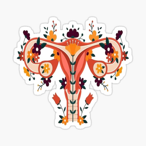 "Womb With Flowers ||Female Reproductive System|| " Sticker for Sale by ...