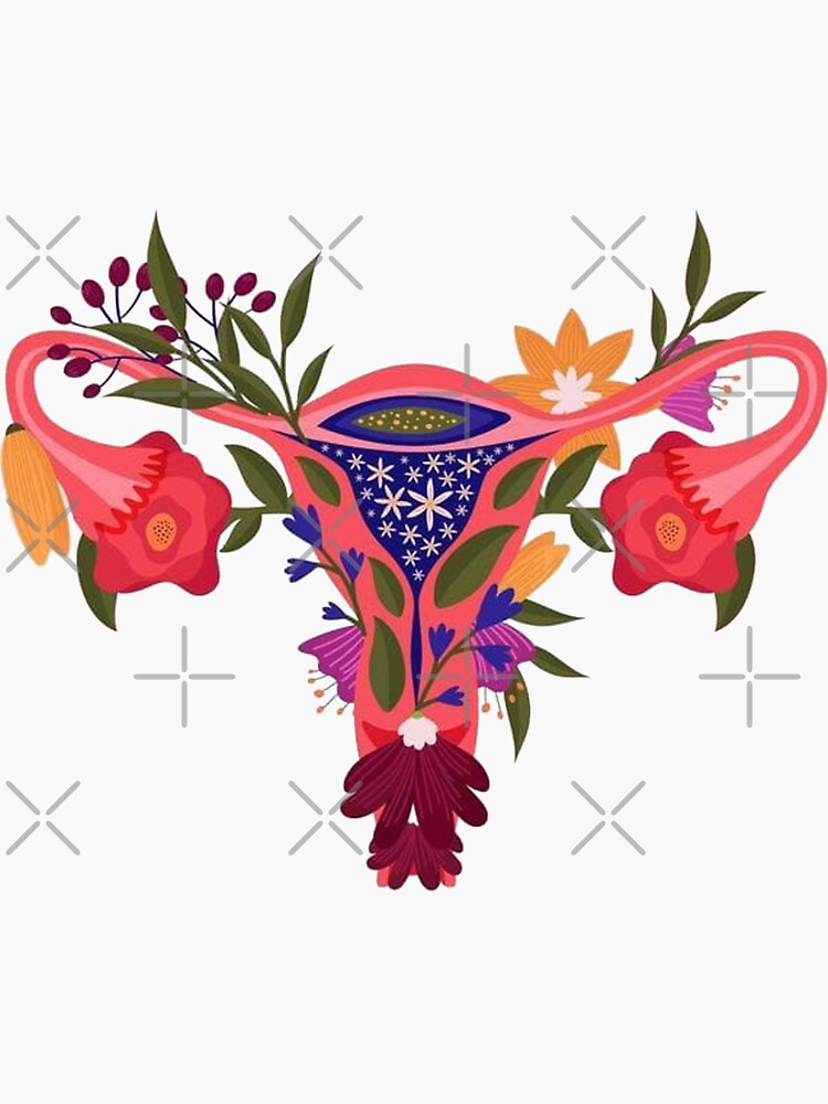 Pegatina «Útero Con Flores ||Sistema Reproductor Femenino||» de ...