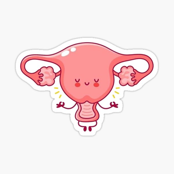 "Funny female reproductive system || Hand drawn uterus || womb female ...