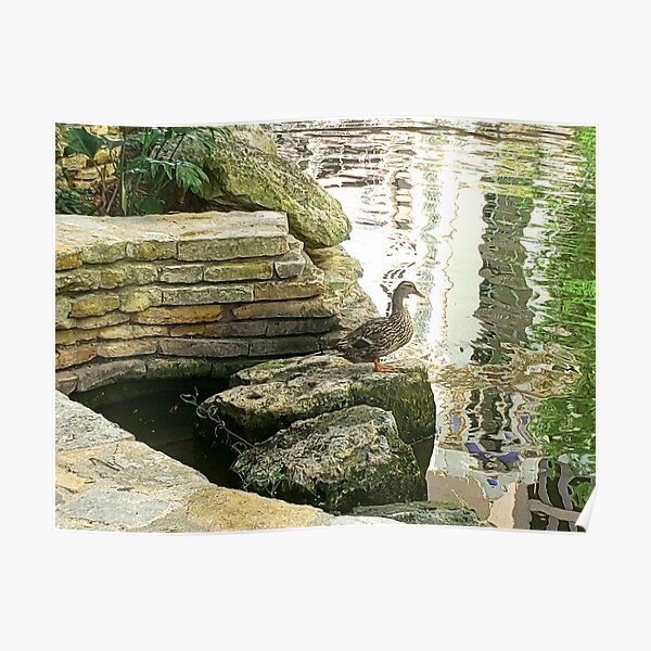 "Riverwalk Ducky" Poster for Sale by astroshadow | Redbubble
