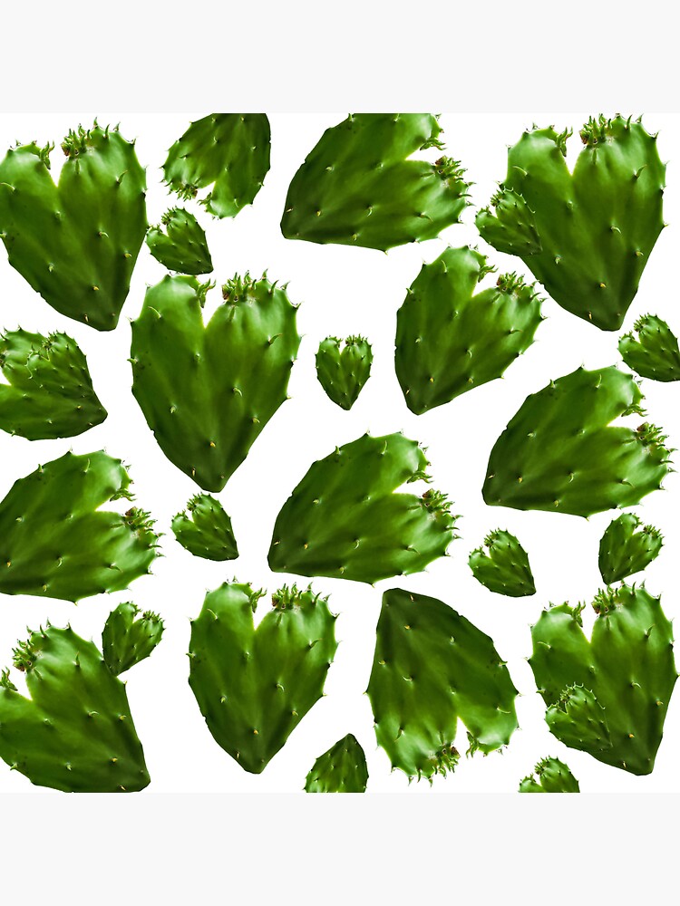 "Nopal Cactus floating " Sticker for Sale by Creativestand | Redbubble