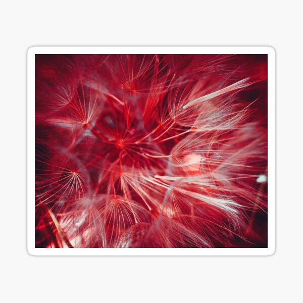 "Light Level Art" Sticker for Sale by MAUROFREE | Redbubble