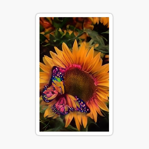 "Space Daisy. And space butterfly . Beautiful fluorescent colors ...