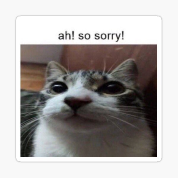 "ah! so Sorry! Meme Cat" Sticker for Sale by GuyBubbles | Redbubble