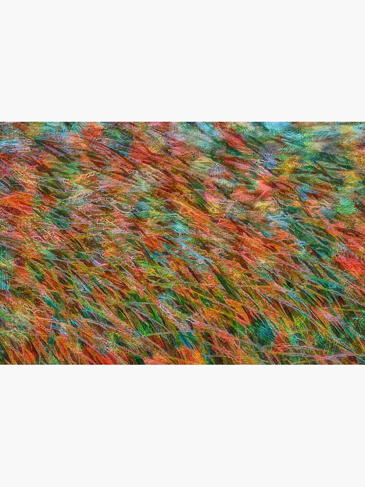 "Rainbow carpet" Sticker for Sale by Kiran-Fine-Art | Redbubble