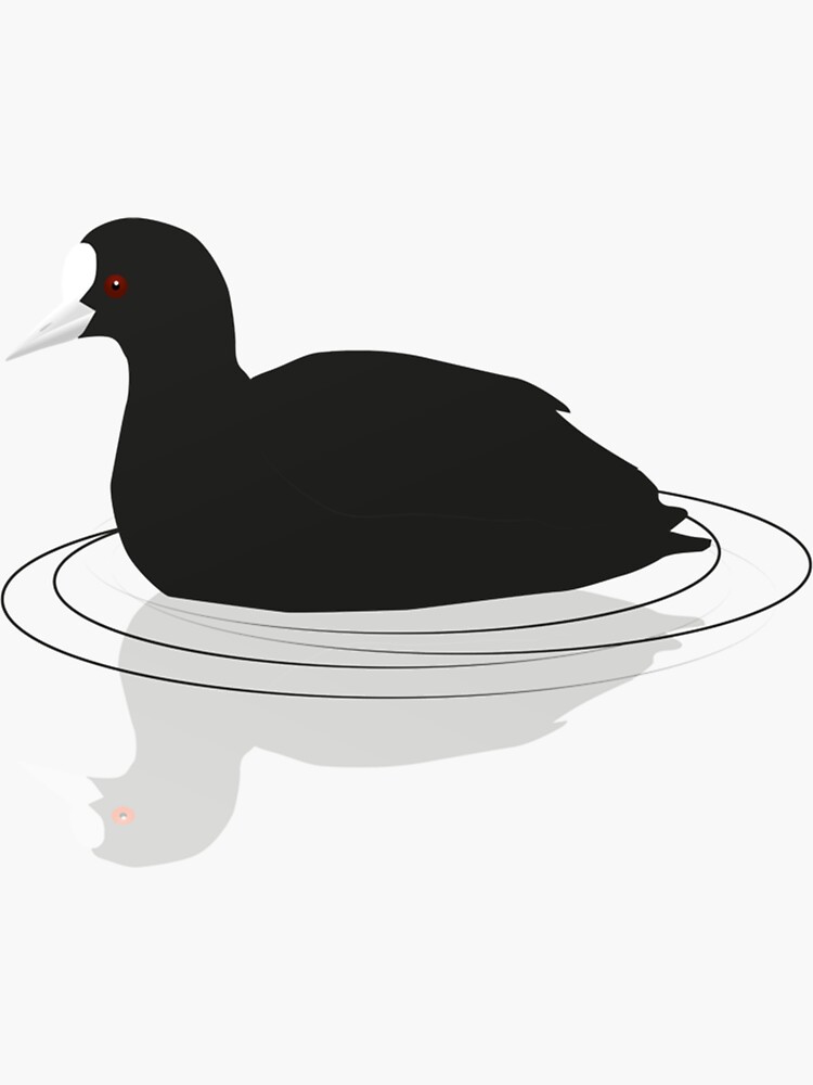 "Common coot vector" Sticker for Sale by hieberala | Redbubble