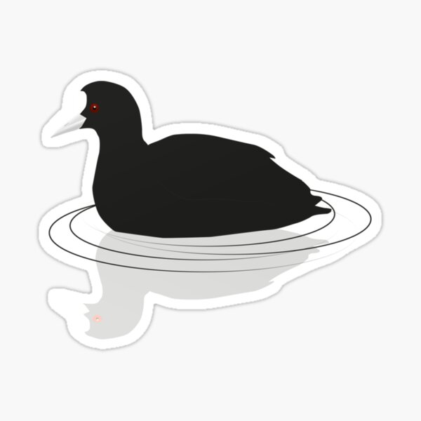 "Common coot vector" Sticker for Sale by hieberala | Redbubble