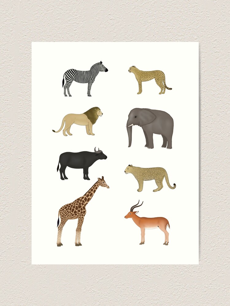"animals of africa carnivores and herbivores" Art Print for Sale by ...