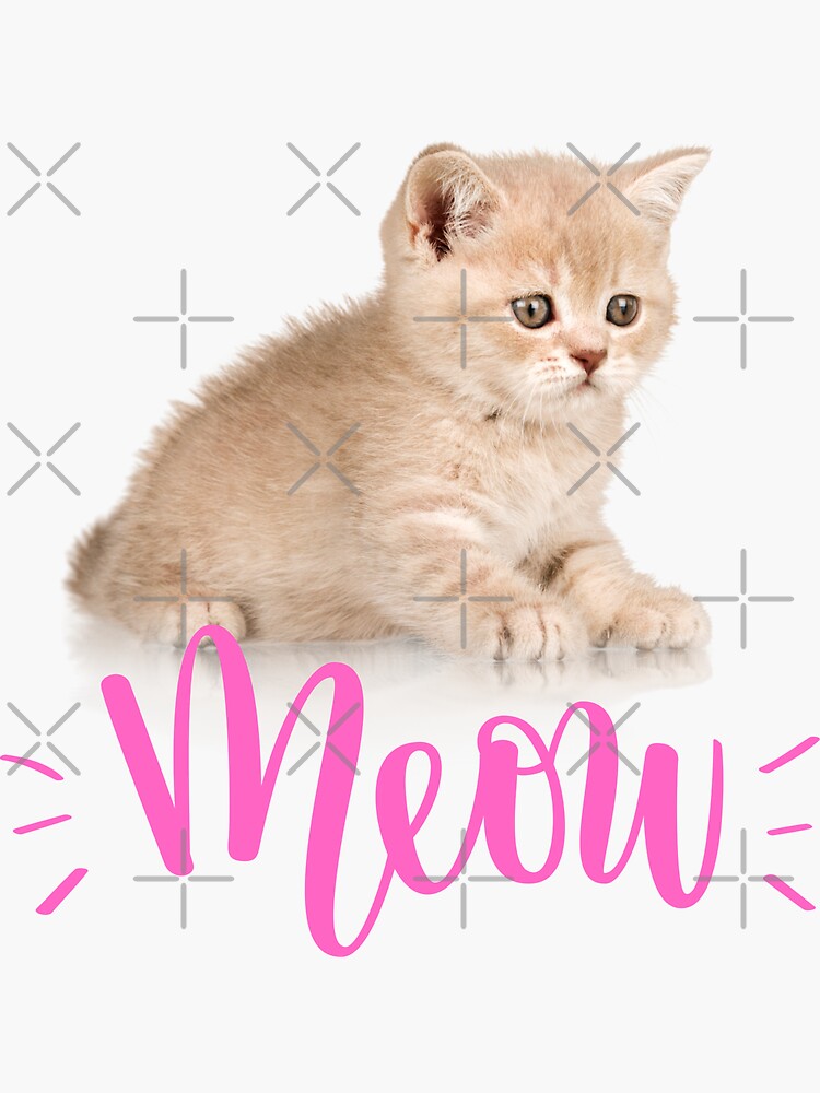 "Meowica - Meow meow - baby cat" Sticker for Sale by boomantique ...