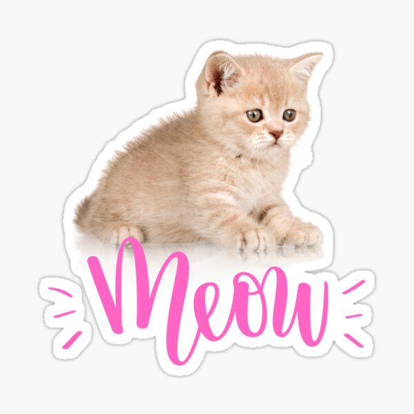 "Meowica - Meow meow - baby cat" Sticker for Sale by boomantique ...