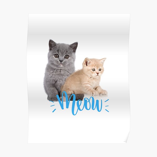 "Meowica - Kitten - Meow meow" Poster for Sale by boomantique | Redbubble