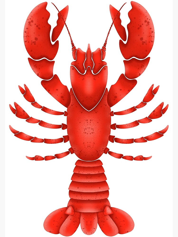 "Crayfish red and bright. Celebrate Kräftskiva!" Poster for Sale by ...