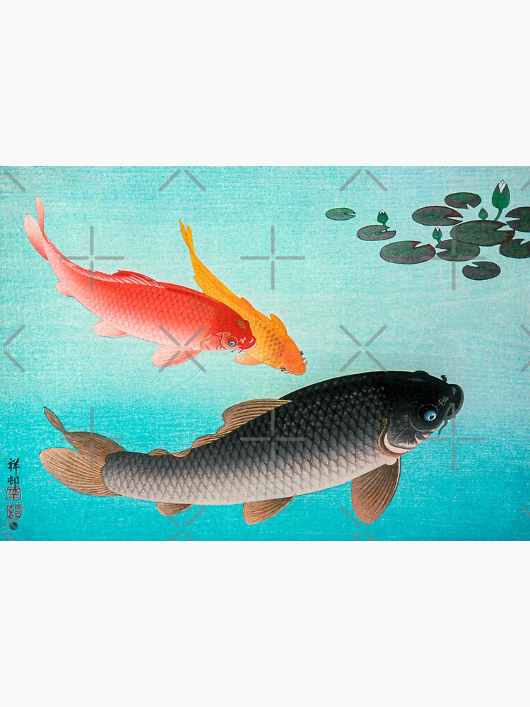 "Common and Golden Carp (1935) Original from the Los Angeles County ...