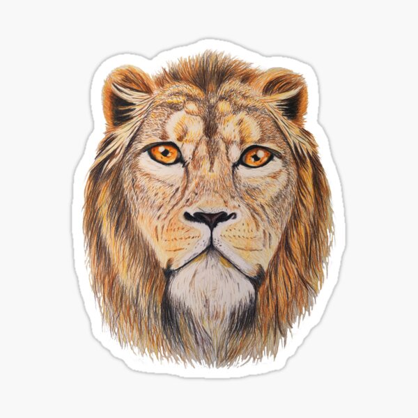"Löwe" Sticker von Aika007 | Redbubble
