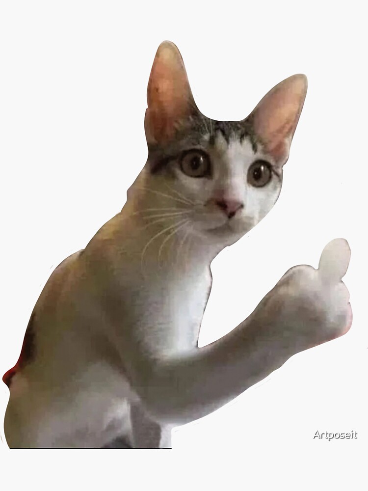 "Middle Finger Funny Cursed Cat" Sticker for Sale by Artposeit | Redbubble