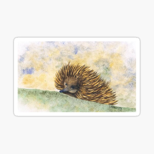 "Spikey Little Friend" Sticker for Sale by artbyjanelucas | Redbubble