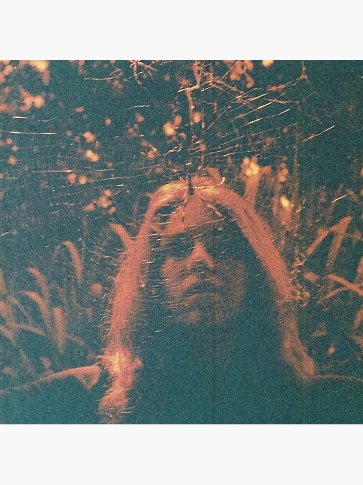 "Turnover - Peripheral Vision" Poster for Sale by joshpearce | Redbubble