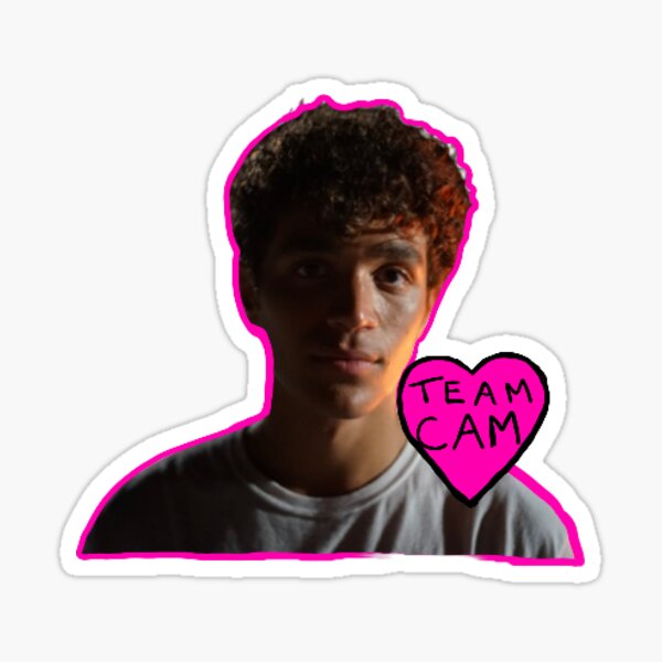 "TEAM CAM CAMERON | THE SUMMER I TURNED PRETTY" Sticker for Sale by ...
