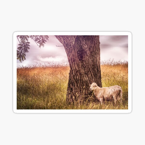 "Lone Wool" Sticker for Sale by butterbean57 | Redbubble
