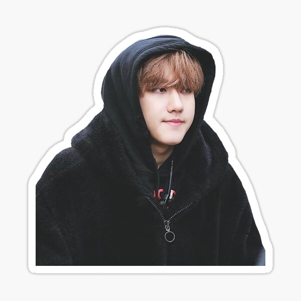 "Stray Kids- Changbin" Sticker for Sale by HawkinsBow | Redbubble