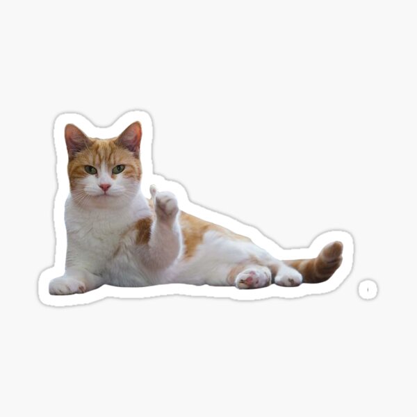 "Cat Kitty Thumbs Up Funny Cute Kitten Meows Kawaii" Sticker for Sale ...