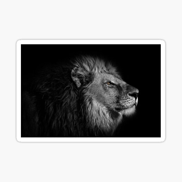 " lion face" Sticker for Sale by luxeado | Redbubble