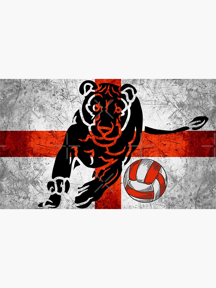 "England Lioness " Sticker for Sale by Mohamed Basry | Redbubble