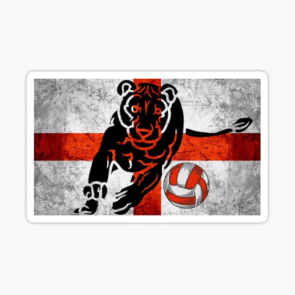 "England Lioness " Sticker for Sale by Mohamed Basry | Redbubble