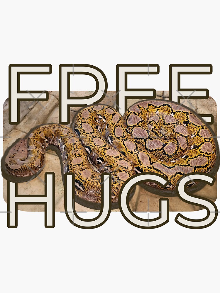 "Free Hugs Python " Sticker for Sale by Bfwilson | Redbubble