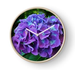 "Purple Hydrangea" by Cynthia48 | Redbubble