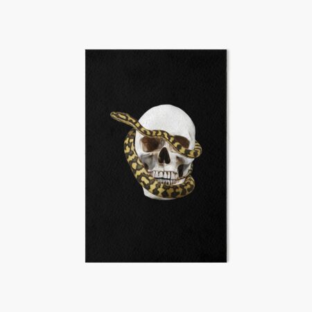 "Snake themed digital art. Australian jungle carpet python. " Art Board ...